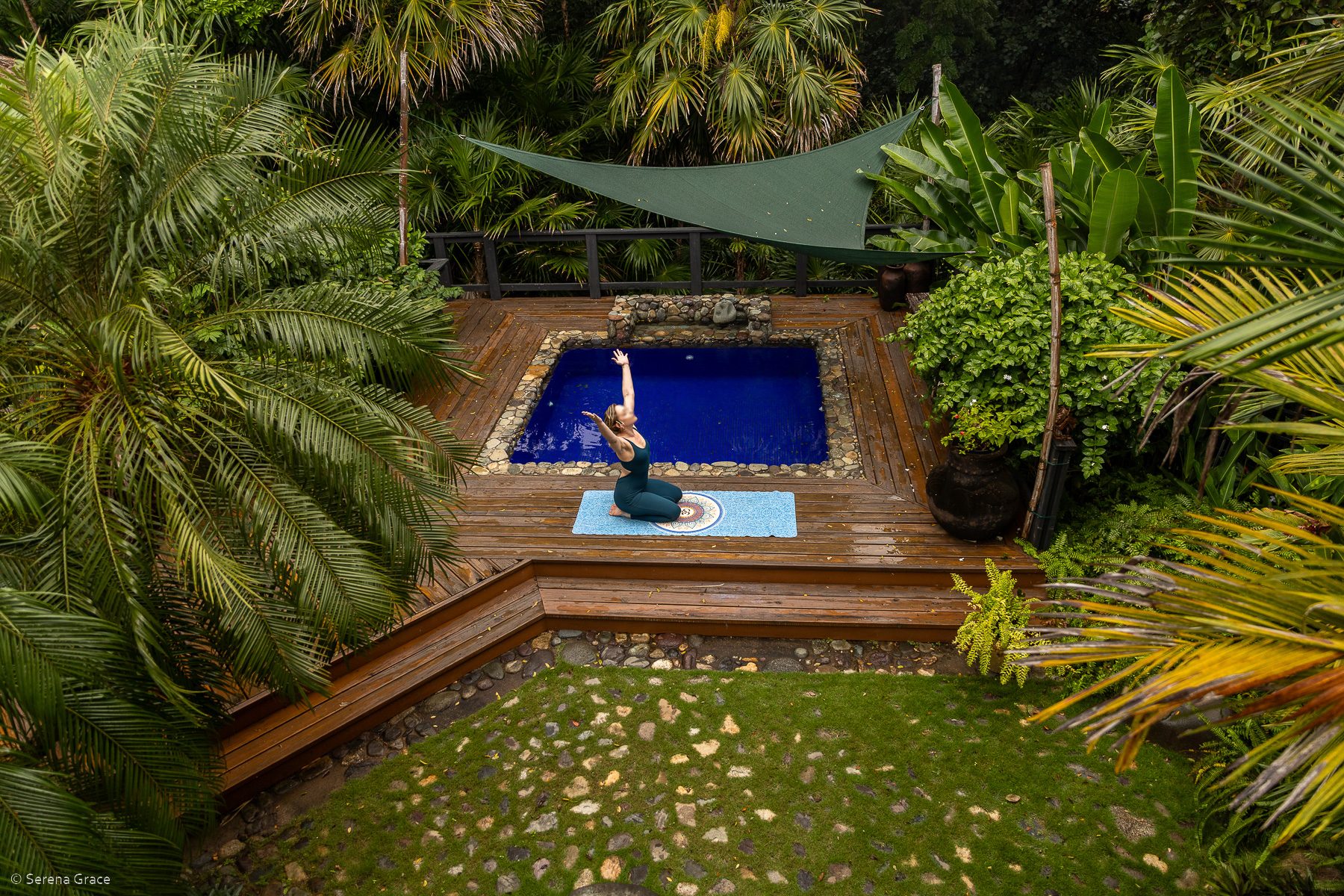 Conscious Companionship | Boston, MA | Serena Grace